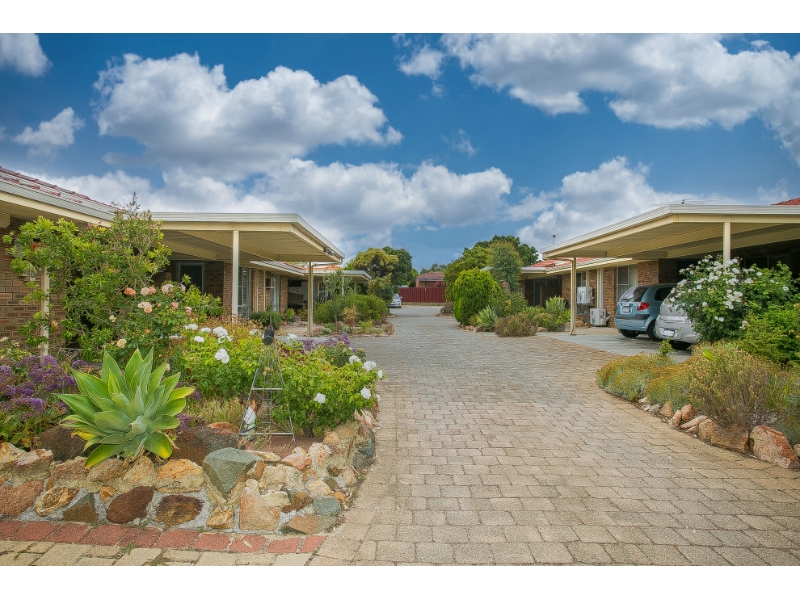 2/76 York Street, Tuart Hill House for rent | Listed by Kaitlyn Hepper ...