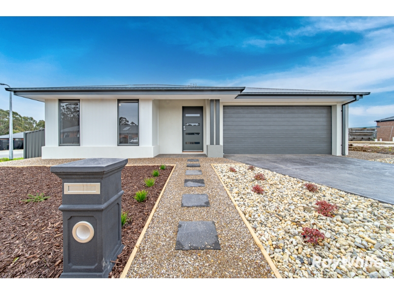 Ray White Bendigo Rentals & Application Form | Ray White Bendigo Rental ...