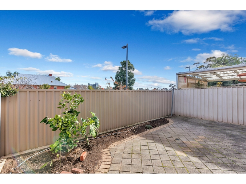 15 Cedar Crescent, Glenside House for rent | Listed by Amanda Walasek ...